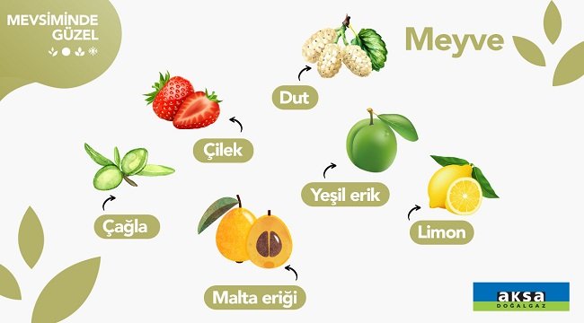 Sağlık: Nisan'da hangi Sebze - Meyve ve Balık yenir? - GÜNDEM ...